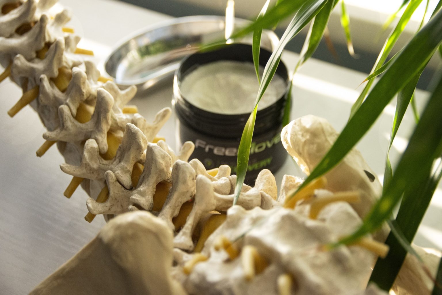 What is a Chiropractor? – SpineWorks