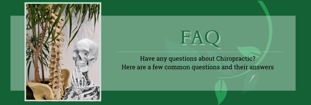 FAQ – SpineWorks